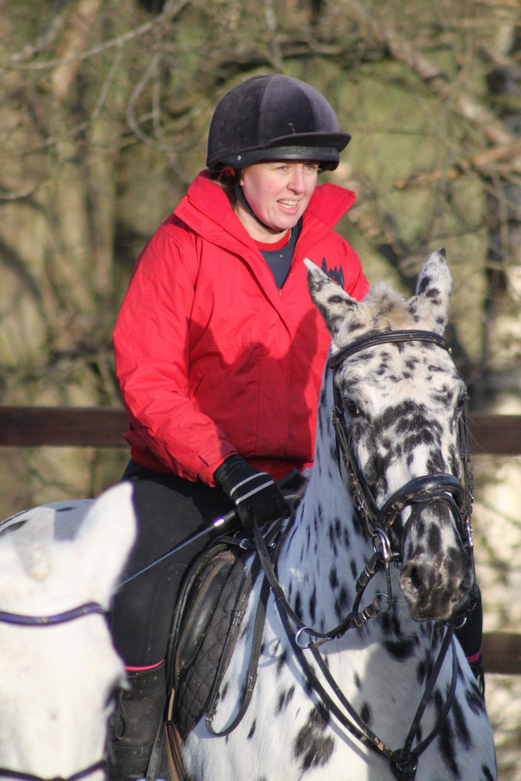 Gallery - Bank Farm Equestrian