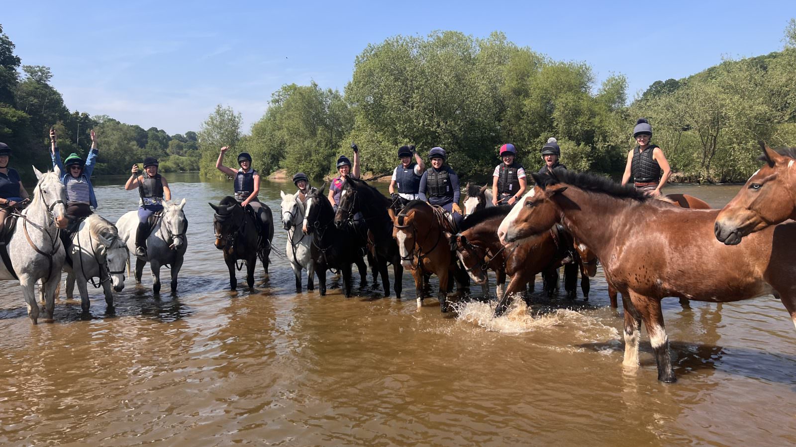 Bank Farm Signatures - Bank Farm Equestrian